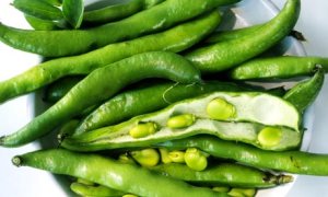 Hildegard von Bingen: Why is she important? – A Medieval Woman's Companion